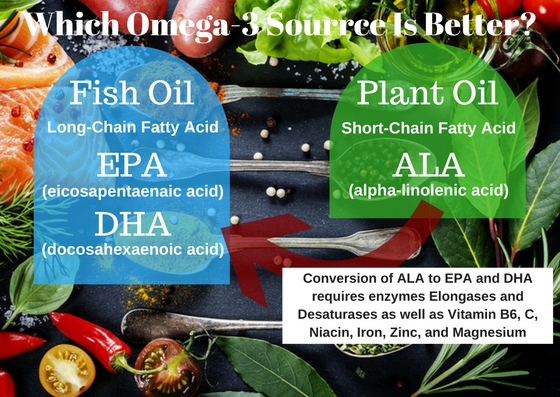 Fish Oil or Plant Oil for Heart Health - Dan Hammer Health LTD