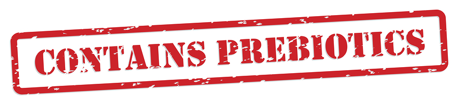 Prebiotics and Probiotics to Recolonize Your Gut - Dan Hammer Health LTD