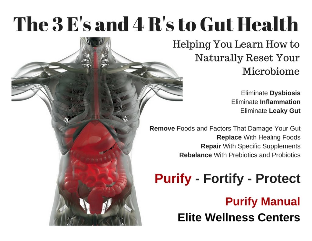 The Purify Manual - Dan Hammer Health LTD